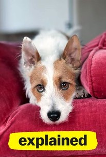 Explained: Season 3 | Rotten Tomatoes