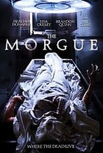 Morgue (2008) - Rotten Tomatoes