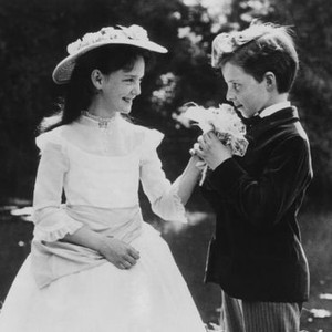 Martin Stephens - Rotten Tomatoes