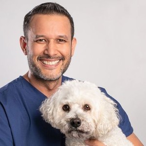 Bondi Vet: Season 10, Episode 22 - Rotten Tomatoes