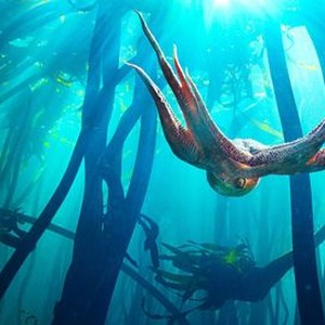 My Octopus Teacher - Rotten Tomatoes