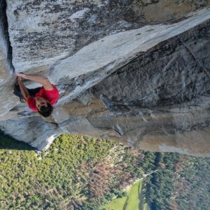 Free Solo - Rotten Tomatoes