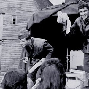 On the Fiddle - Rotten Tomatoes