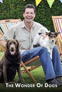 The Wonder of Dogs - Rotten Tomatoes