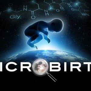MicroBirth - Rotten Tomatoes