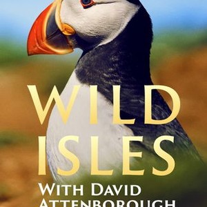 Wild Isles - Rotten Tomatoes