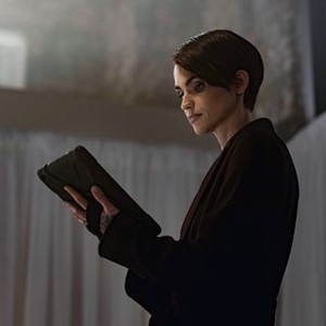 The Collective - Rotten Tomatoes