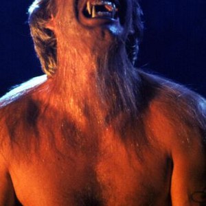 Christopher Stone - Rotten Tomatoes