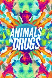 Animals on Drugs | Rotten Tomatoes