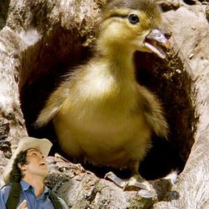 Andy's Wild Adventures: Season 2, Episode 7 - Rotten Tomatoes