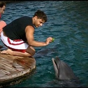 Dolphin Boy - Rotten Tomatoes