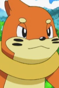 Pokémon the Series: DP Battle Dimension, Episode 21 | Rotten Tomatoes