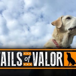 Tails of Valor - Rotten Tomatoes