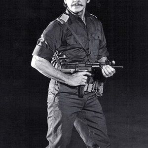 Raid on Entebbe - Rotten Tomatoes