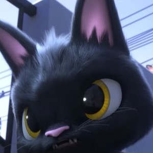 Rudolf the Black Cat - Rotten Tomatoes