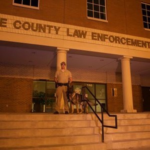 Aaron Reed - Rotten Tomatoes