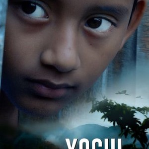 Yochi - Rotten Tomatoes