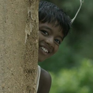 Colours of Innocence - Rotten Tomatoes