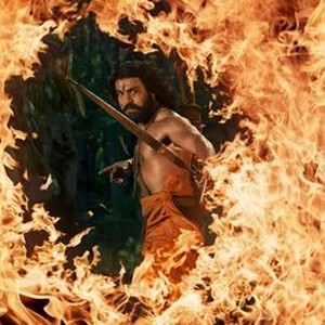 RRR Fan CelebRRRation - Rotten Tomatoes