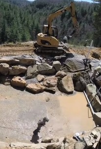 The Pool Master: Season 1, Episode 1 - Rotten Tomatoes