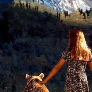 Ms. Bear - Rotten Tomatoes