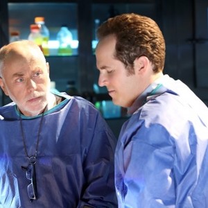 Rotten Tomatoes: Movies | TV Shows | Movie Trailers | Reviews - Rotten ...