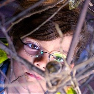 Tinker' - Rotten Tomatoes