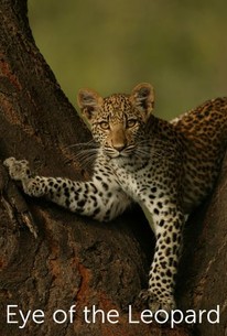 Eye of the Leopard (2006) - Rotten Tomatoes