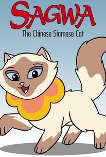 Sagwa, the Chinese Siamese Cat | Rotten Tomatoes