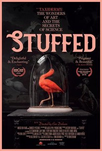 Stuffed | Rotten Tomatoes