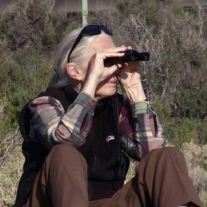 Jane & Payne - Rotten Tomatoes