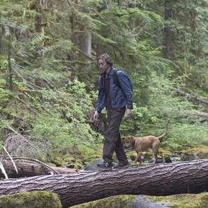 Old Joy - Rotten Tomatoes