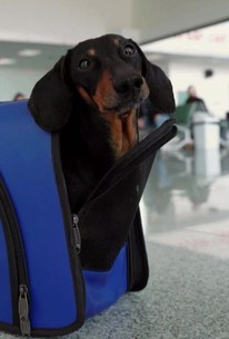 Customer Wars: Season 2, Episode 1 | Rotten Tomatoes