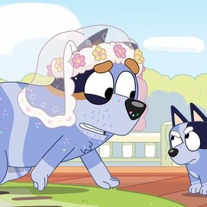 Bluey: Season 1, Episode 9 - Rotten Tomatoes