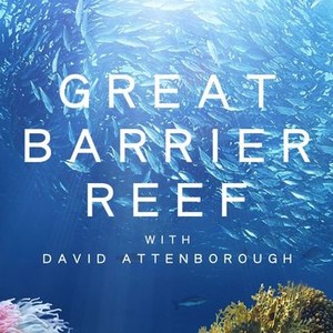 Great Barrier Reef with David Attenborough - Rotten Tomatoes