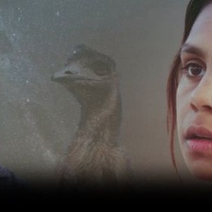 Emu Runner - Rotten Tomatoes