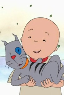 Caillou: Season 1, Episode 31 | Rotten Tomatoes