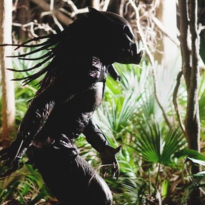 Predators - Rotten Tomatoes