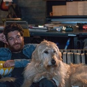 Dog Days - Rotten Tomatoes