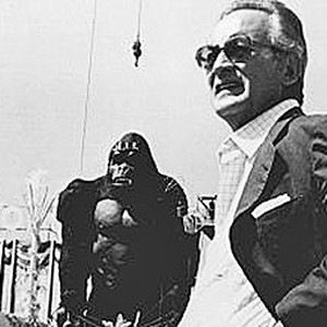 King Kong - Rotten Tomatoes