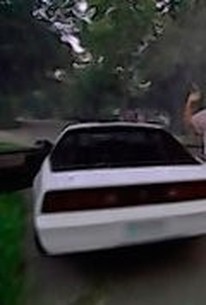 Cops: Season 10, Episode 34 | Rotten Tomatoes