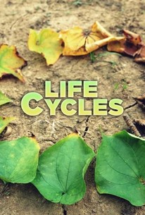 Life Cycles | Rotten Tomatoes
