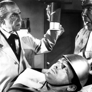 Rotten Tomatoes: Movies | TV Shows | Movie Trailers | Reviews - Rotten ...