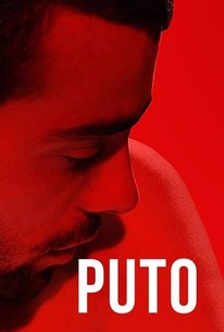Puto | Audience Reviews | Rotten Tomatoes