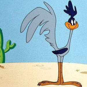 The Road Runner Show - Rotten Tomatoes