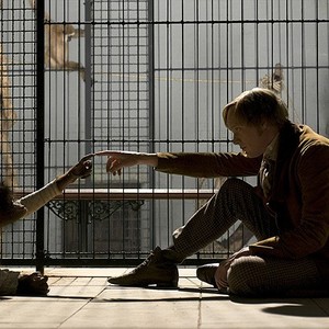 Creation - Rotten Tomatoes