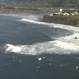 Discovering Mavericks - Rotten Tomatoes