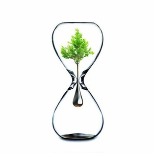 Time to Choose - Rotten Tomatoes