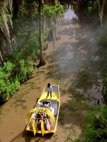 Hurricane On The Bayou Salt Bayou Restoration Project Provides