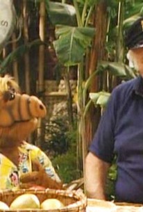 ALF - Season 2 Episode 2 - Rotten Tomatoes